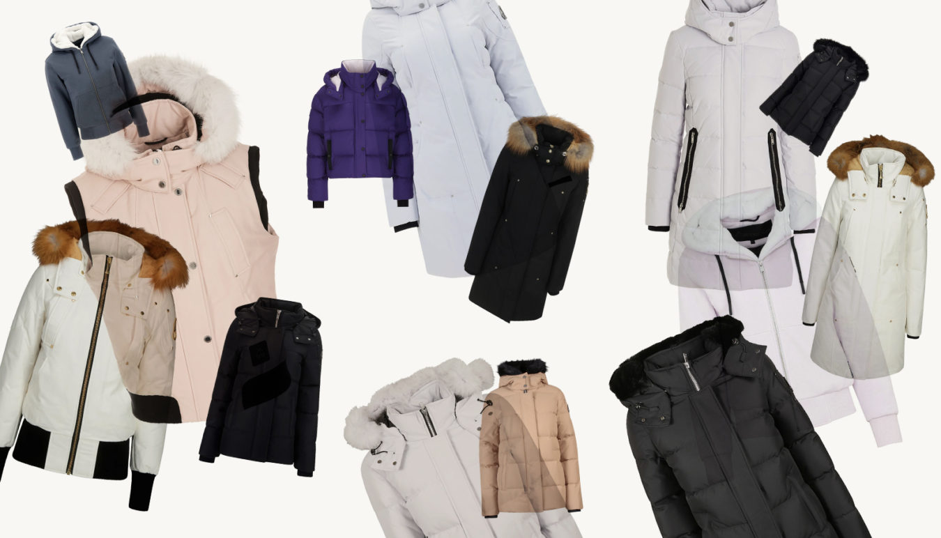 The Moose Knuckles Coat - what to know before buying